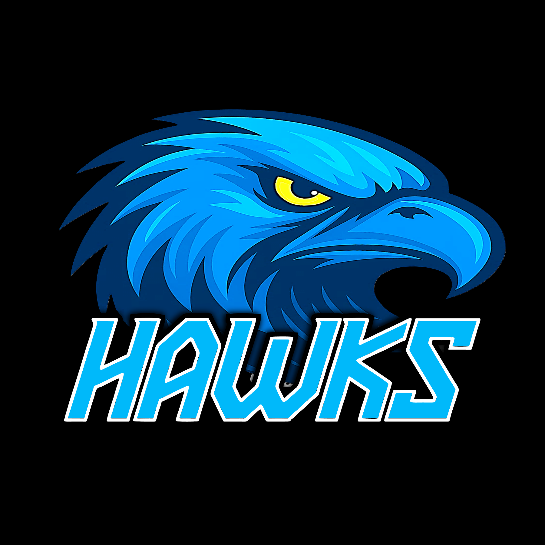 Hawks Baseball – Blue Eyed Threads